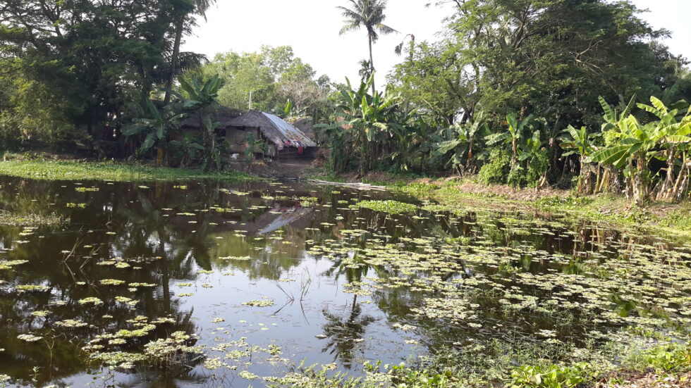 What is Chhoti? • ChhotiRadhaMadhava